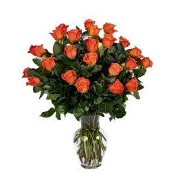 Two Dozen Orange Roses Arranged Beautifully